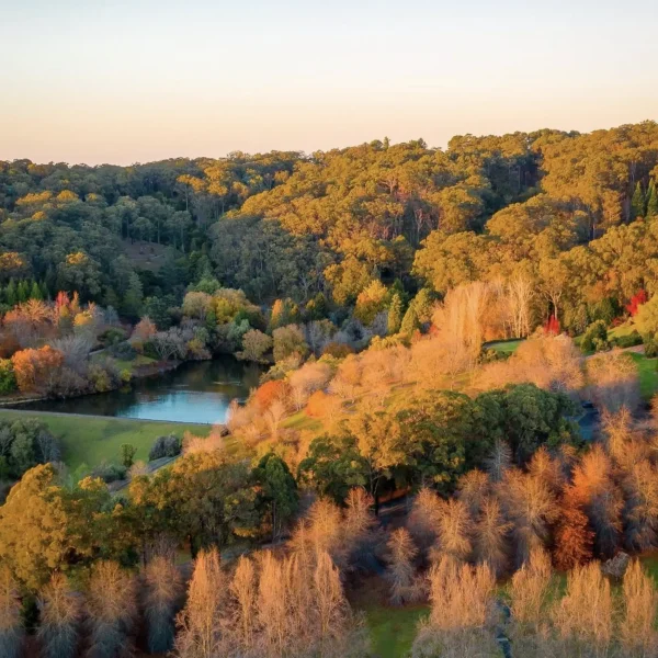 Explore Adelaide: Festivals, Heritage, and Natural Beauty
